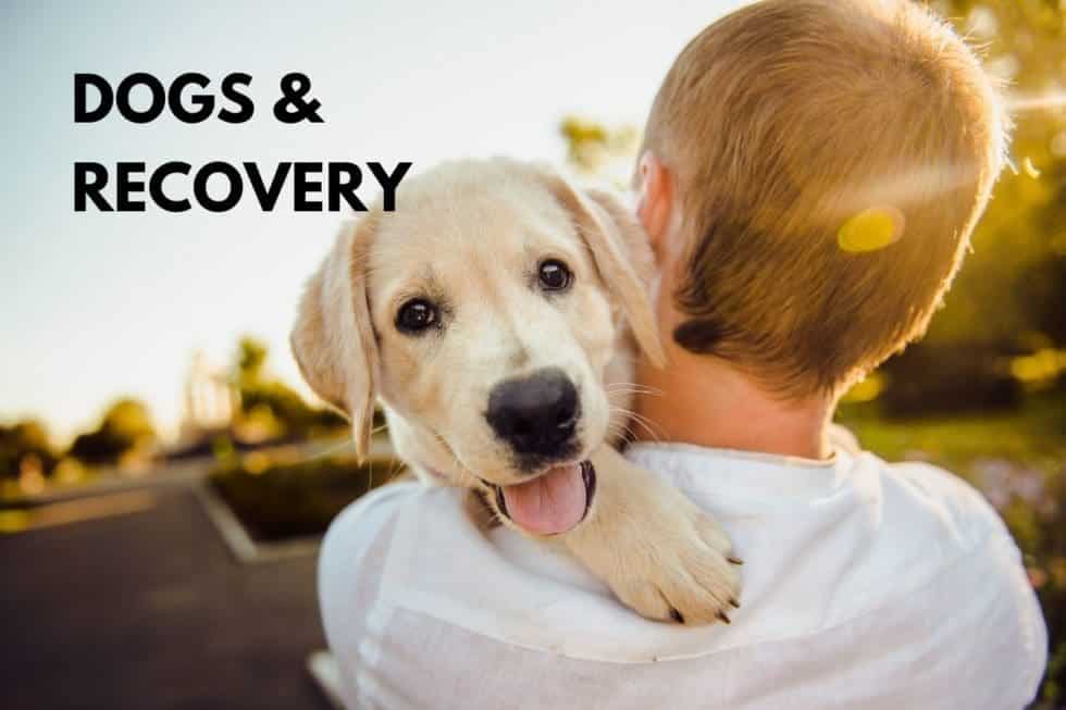 How Dogs Can Help Recovering Addicts Stay Sober